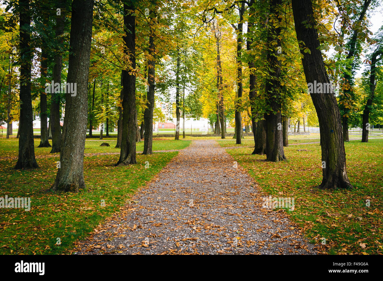 Early autumn color seen at Kadrioru Park, in Tallinn, Estonia Stock ...