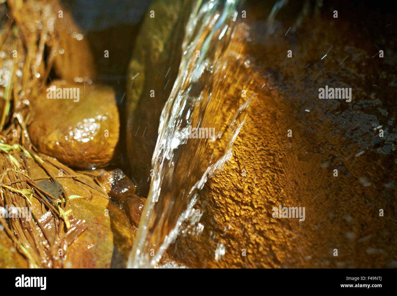 Natural source of mineral curative water Stock Photo - Alamy