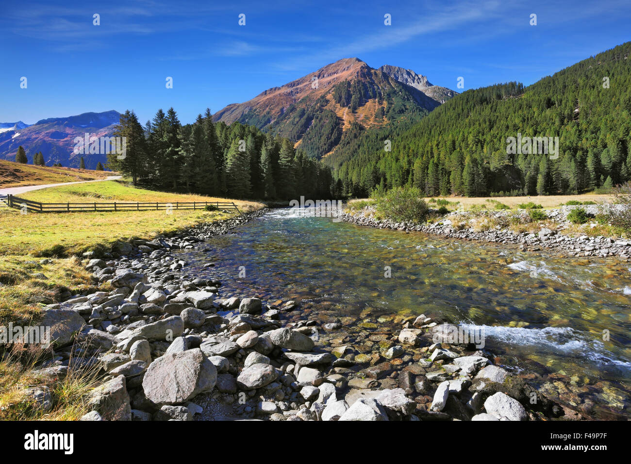 Mountain river among forest hi-res stock photography and images - Alamy
