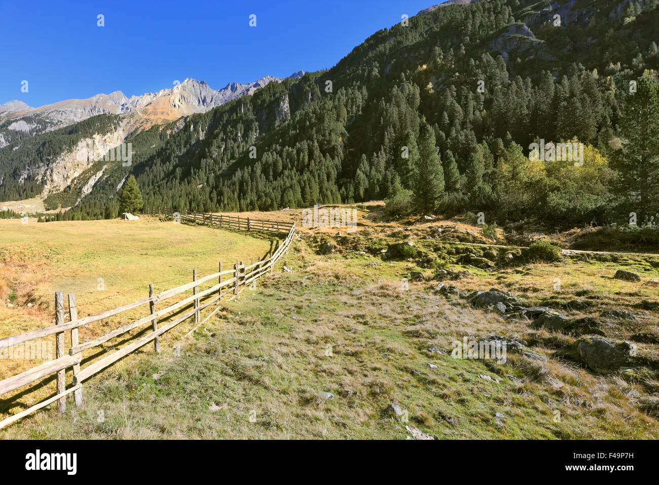 Farm in alpine valley hi-res stock photography and images - Alamy