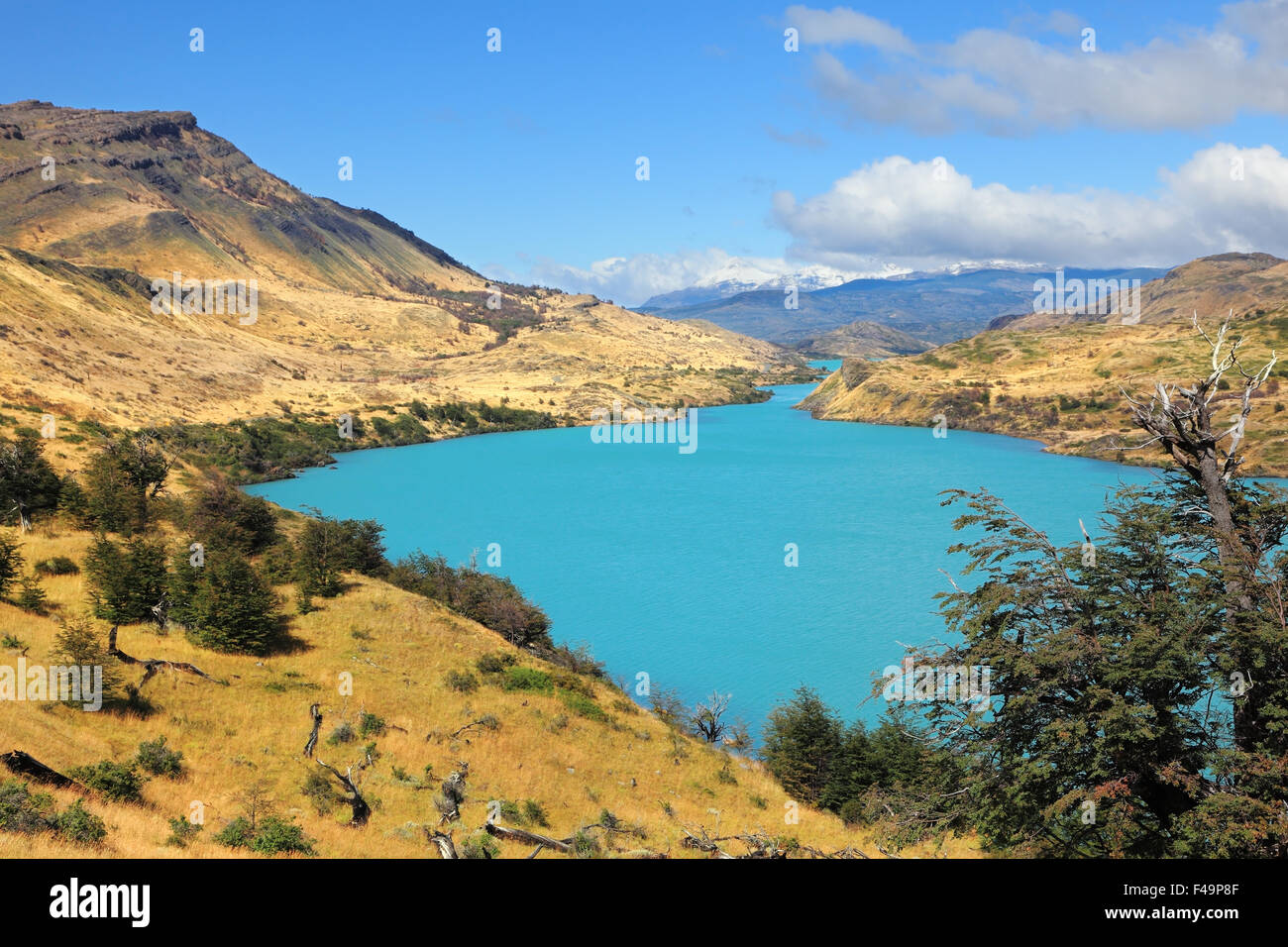 Cold river - the Rio Serrano Stock Photo - Alamy