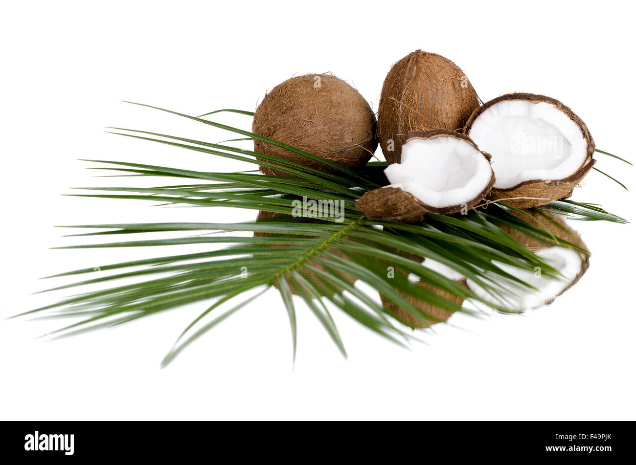 Coconut edible Cut Out Stock Images & Pictures - Alamy