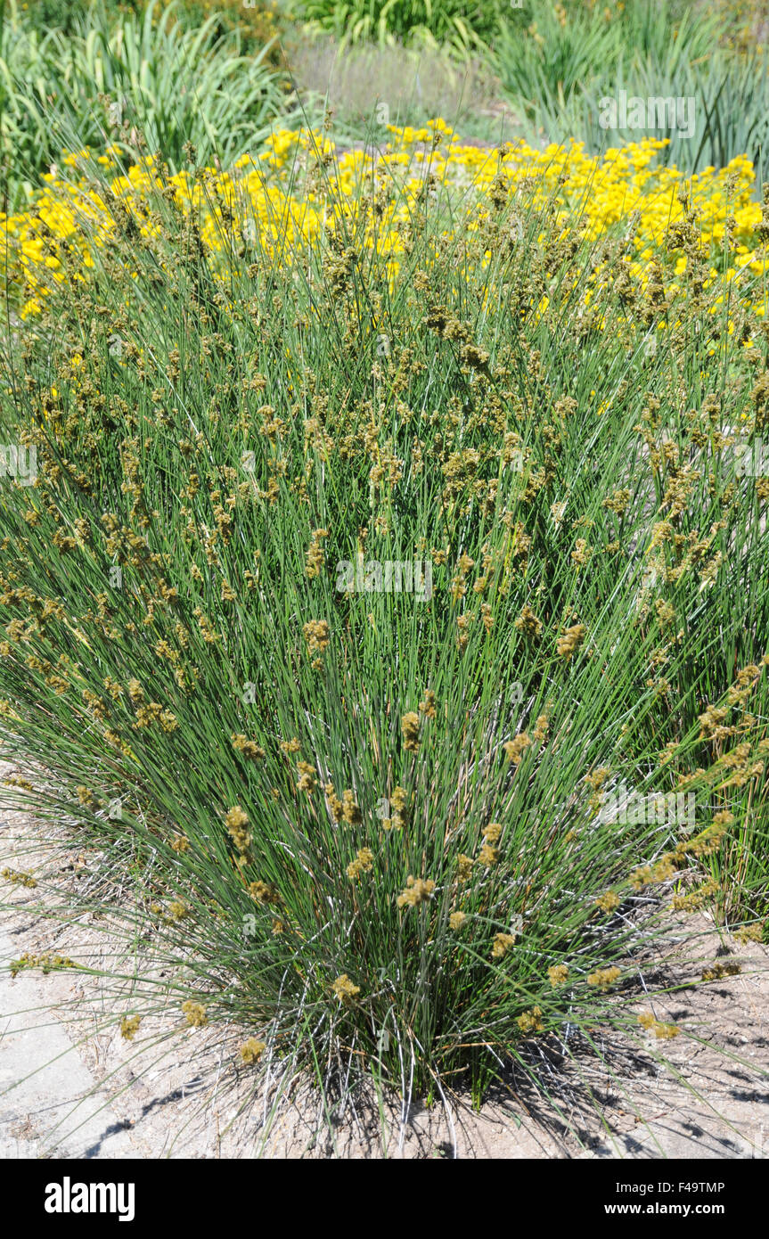 Rush into the sea hi-res stock photography and images - Alamy