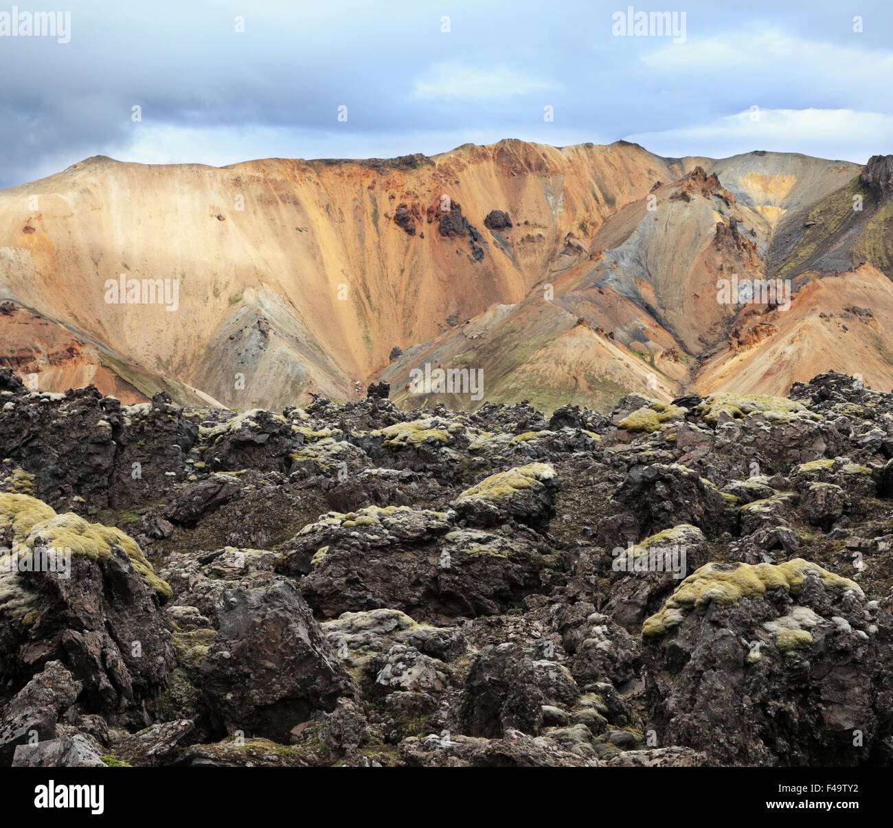 Moss desert hi-res stock photography and images - Alamy