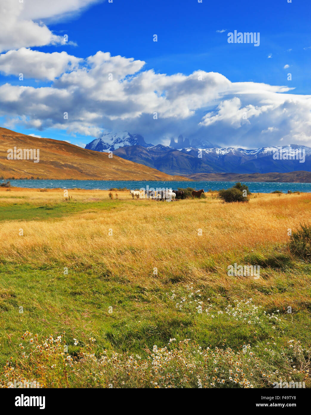 Patagonia azul hi-res stock photography and images - Alamy