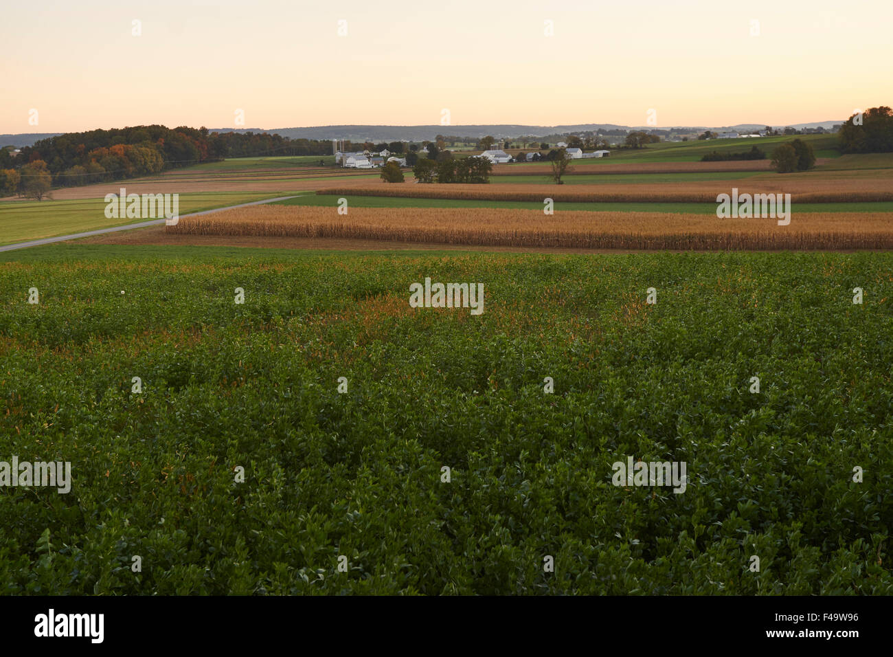 open farmland, early morning, Lancaster County, Pennsylvania, USA Stock ...