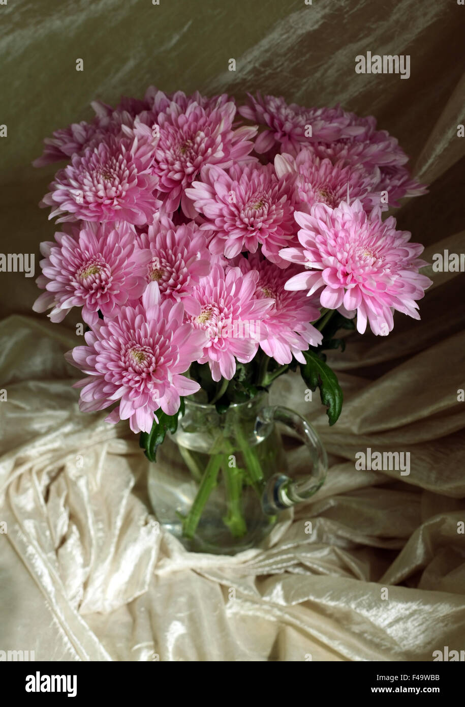 Still life chrysanthemums hi-res stock photography and images - Alamy