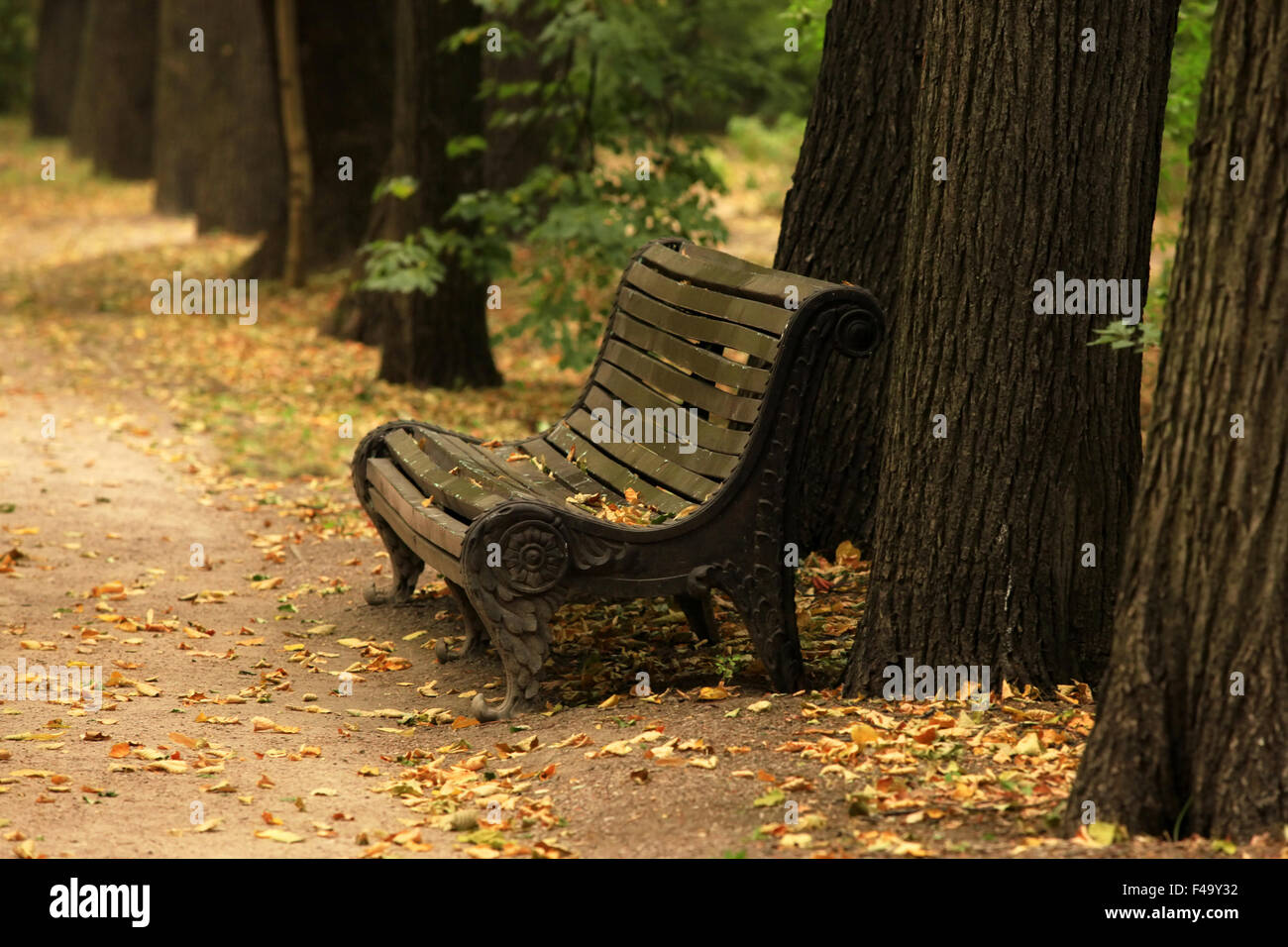 Rotten wooden chair and furniture hi-res stock photography and images ...