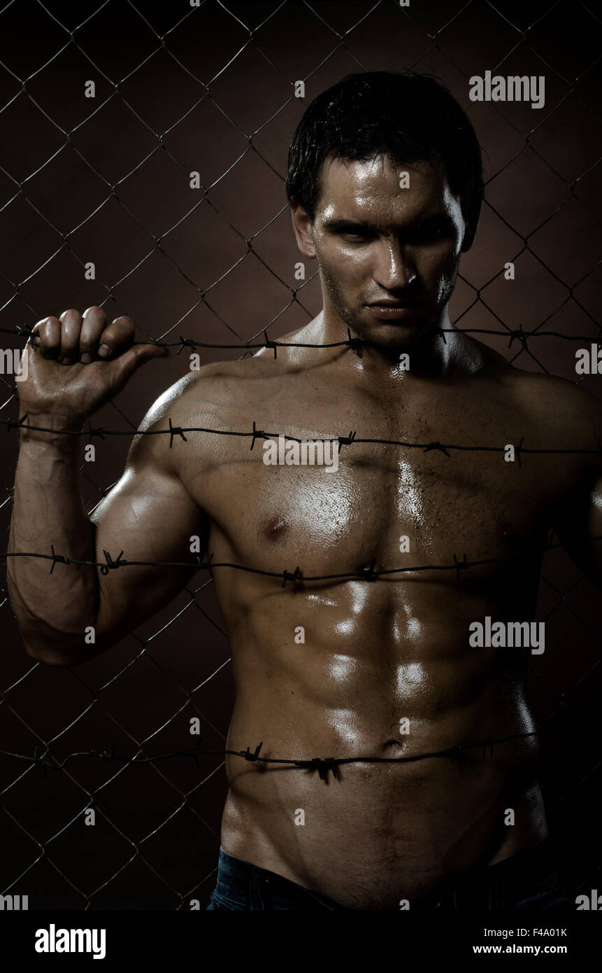 Felo hi-res stock photography and images - Alamy