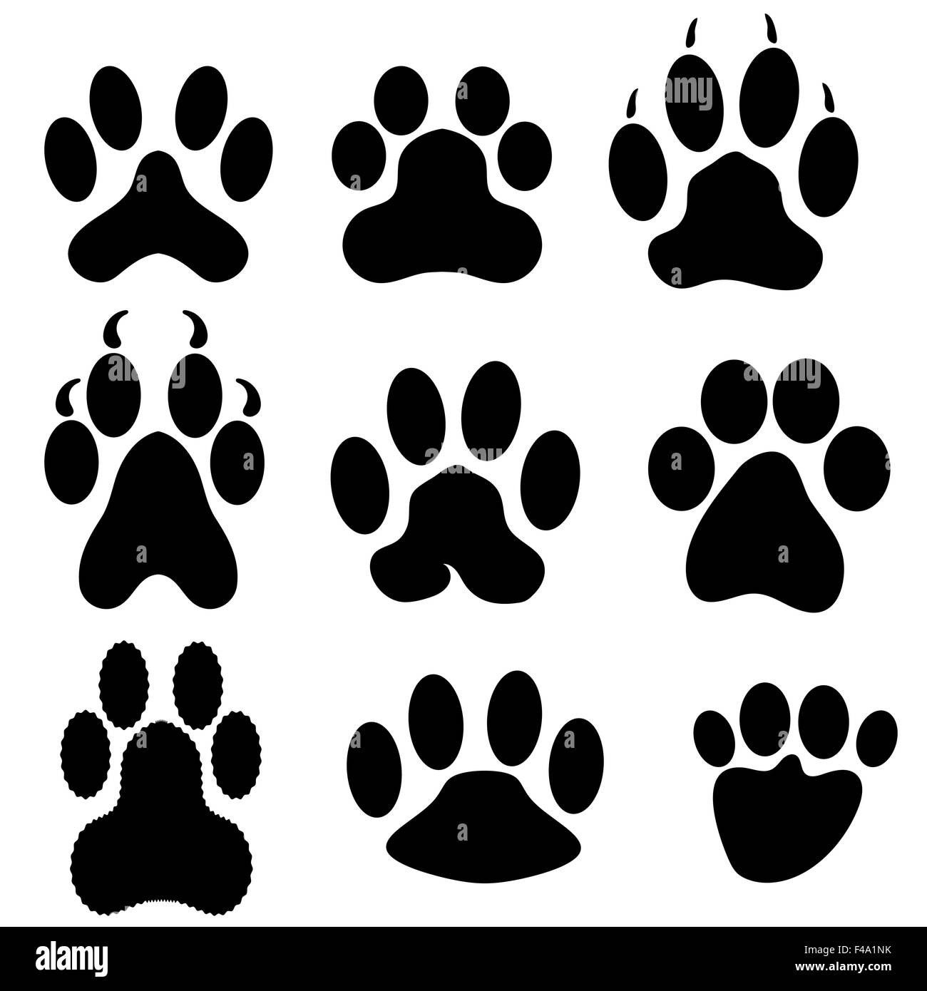 Paw prints illustration black hi-res stock photography and images - Alamy