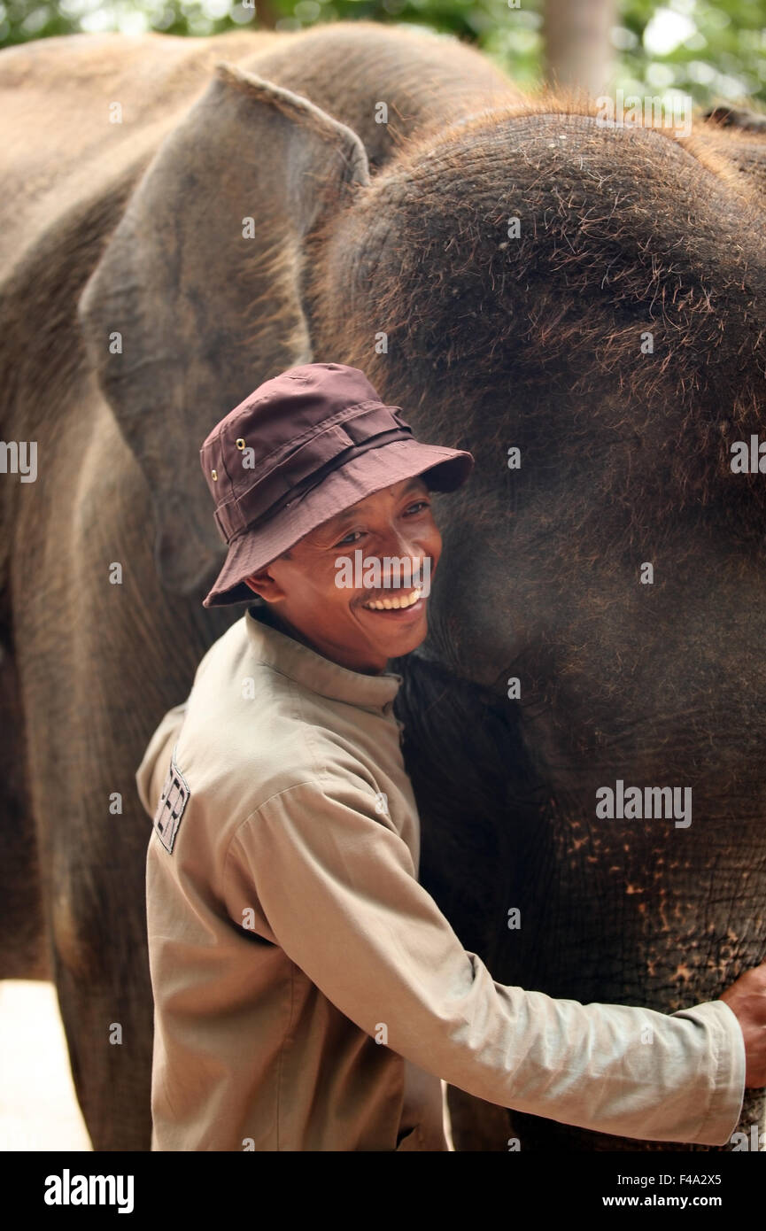 Dust keeper hi-res stock photography and images - Alamy