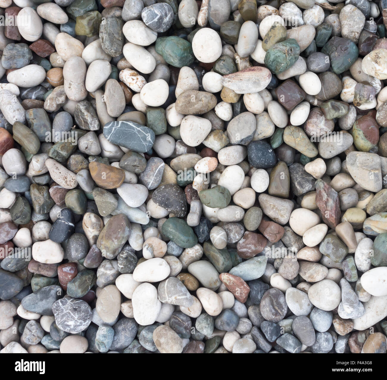 Shiny pebble hi-res stock photography and images - Alamy
