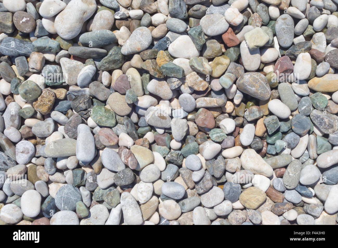 Round flat rock on sand hi-res stock photography and images - Alamy