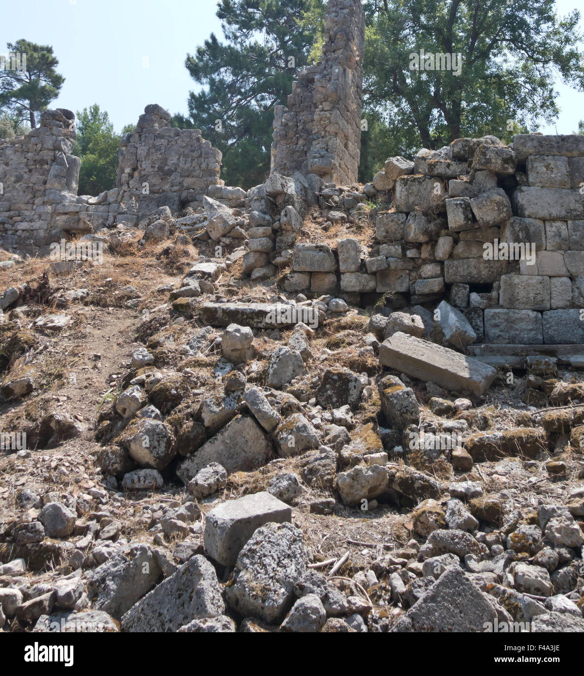 Phaselis hi-res stock photography and images - Alamy