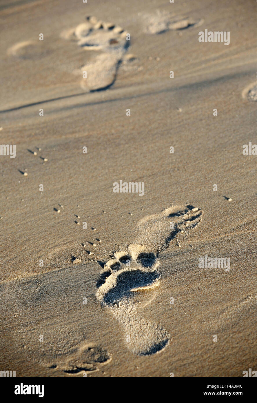 Leg prints hi-res stock photography and images - Alamy