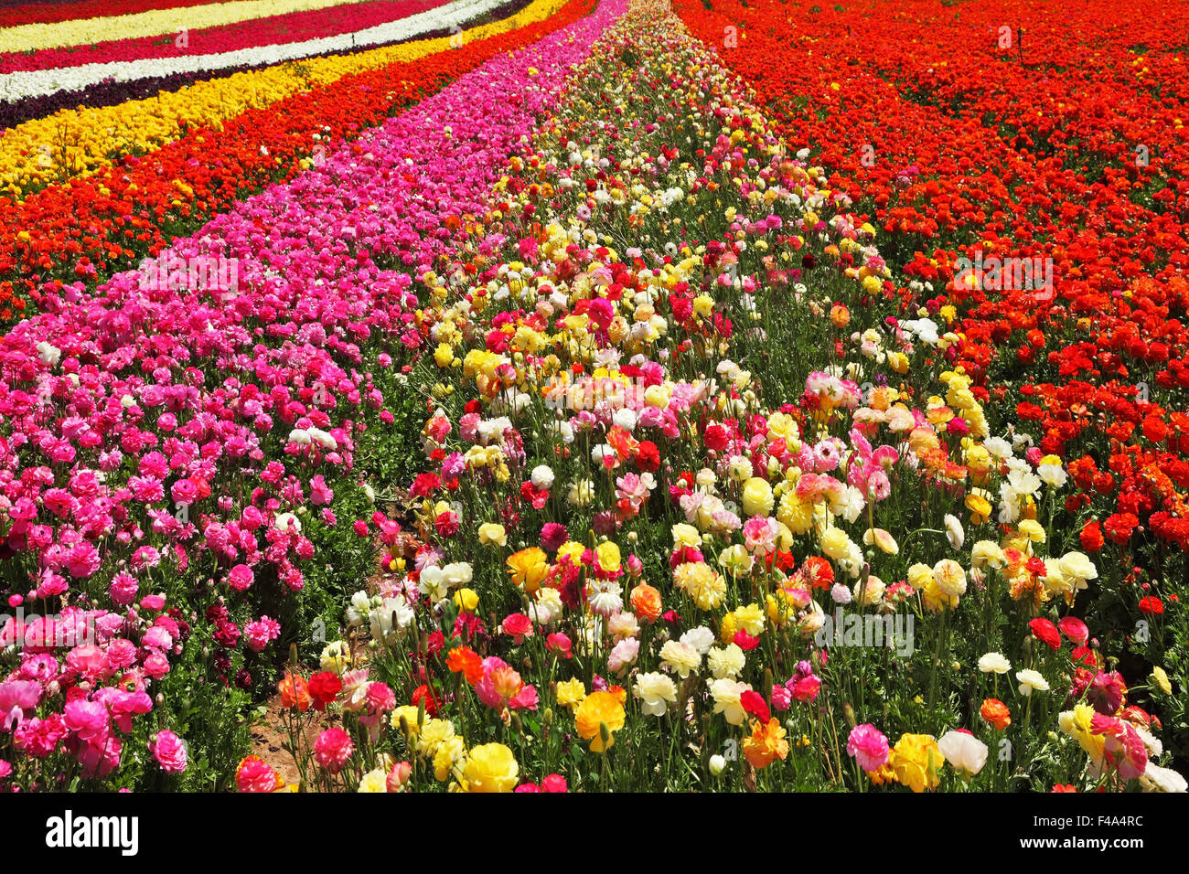 Multi colored landscapes hi-res stock photography and images - Alamy