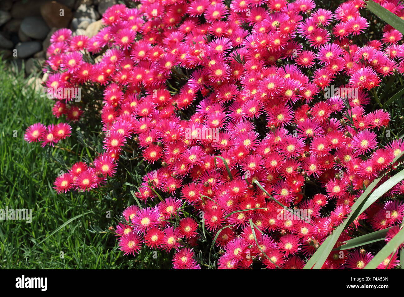 Are there any woodwork programs to help newbies with projects? : r ...