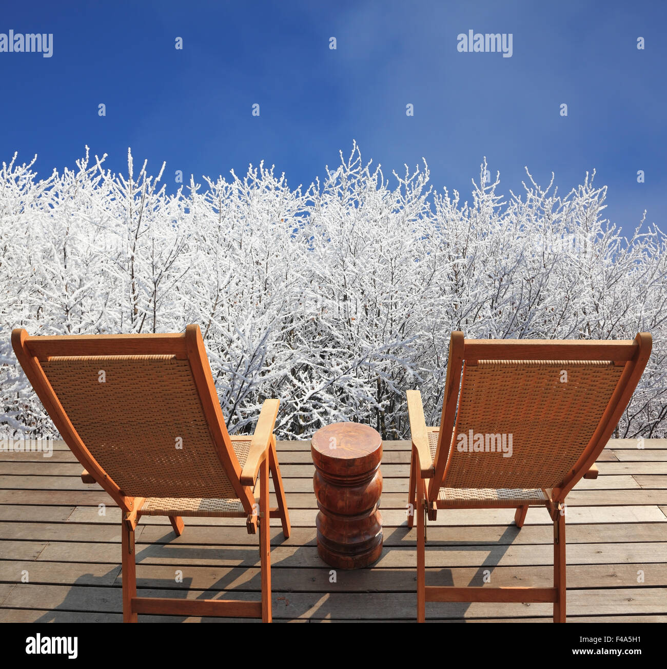 The winter sun Stock Photo - Alamy