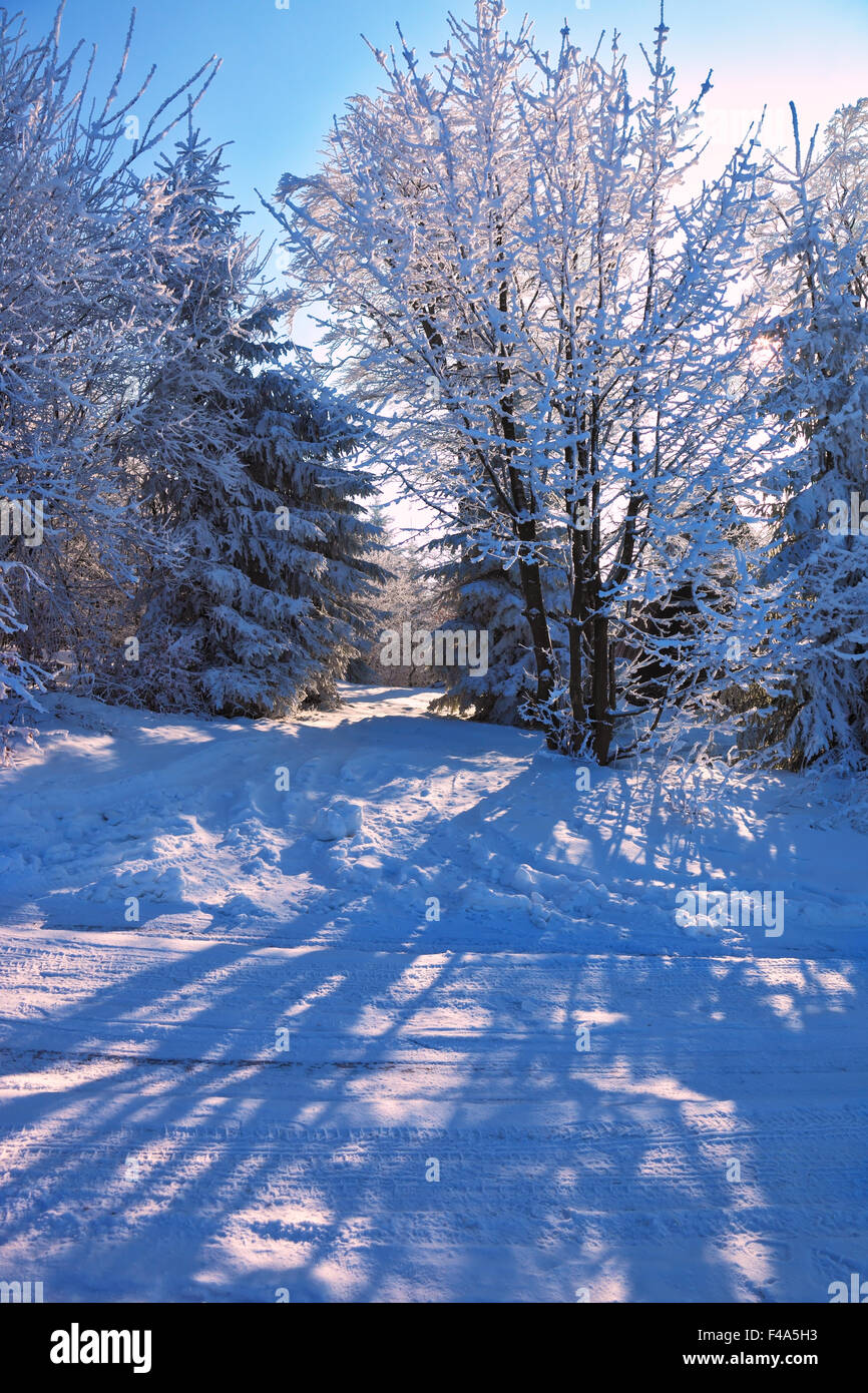Cold and sunny morning hi-res stock photography and images - Alamy