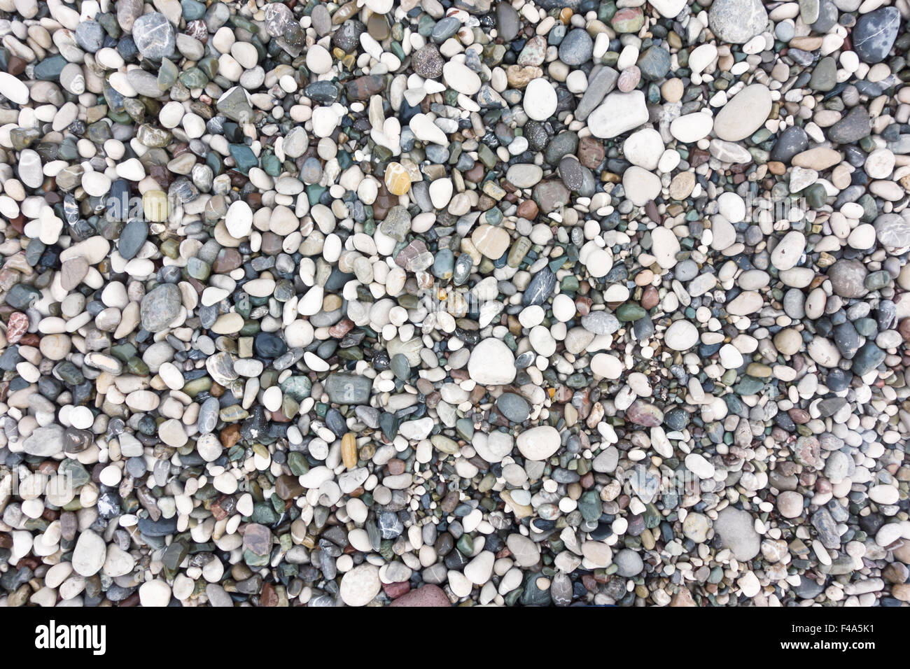 Background small shiny sea stones hi-res stock photography and images ...