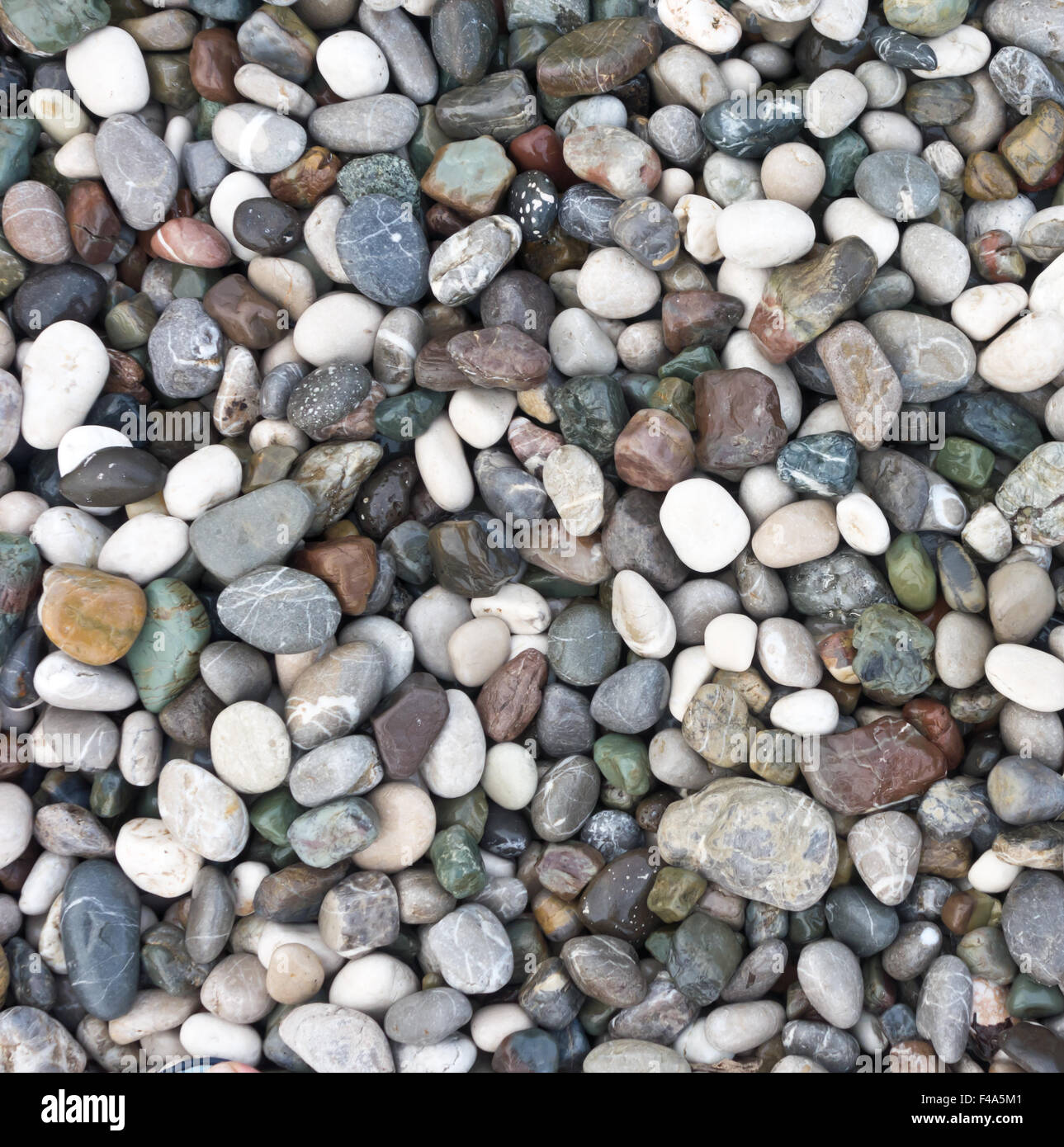 River pebble mosaic hi-res stock photography and images - Alamy
