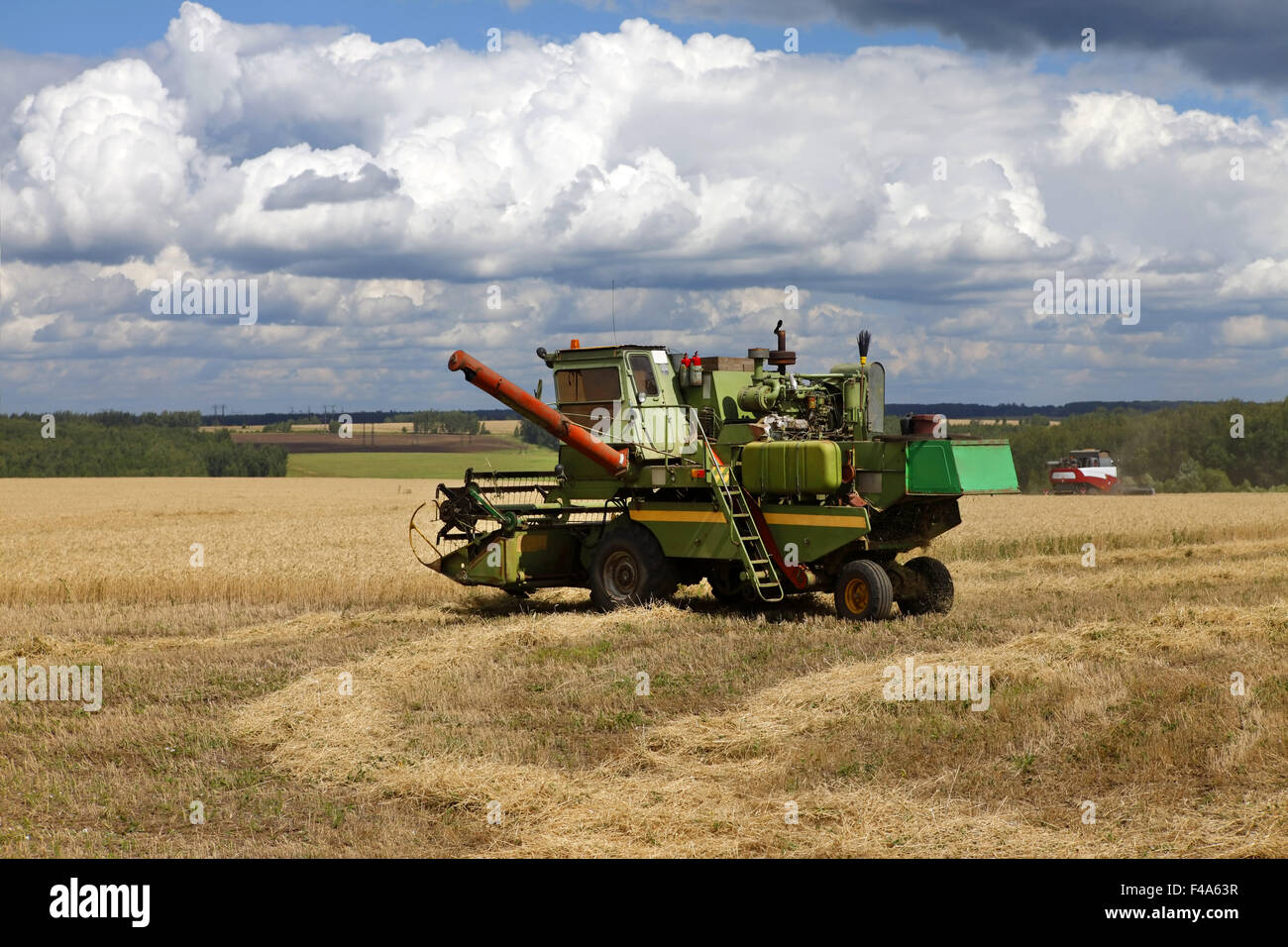 Combine harvesting wheat Stock Photo - Alamy