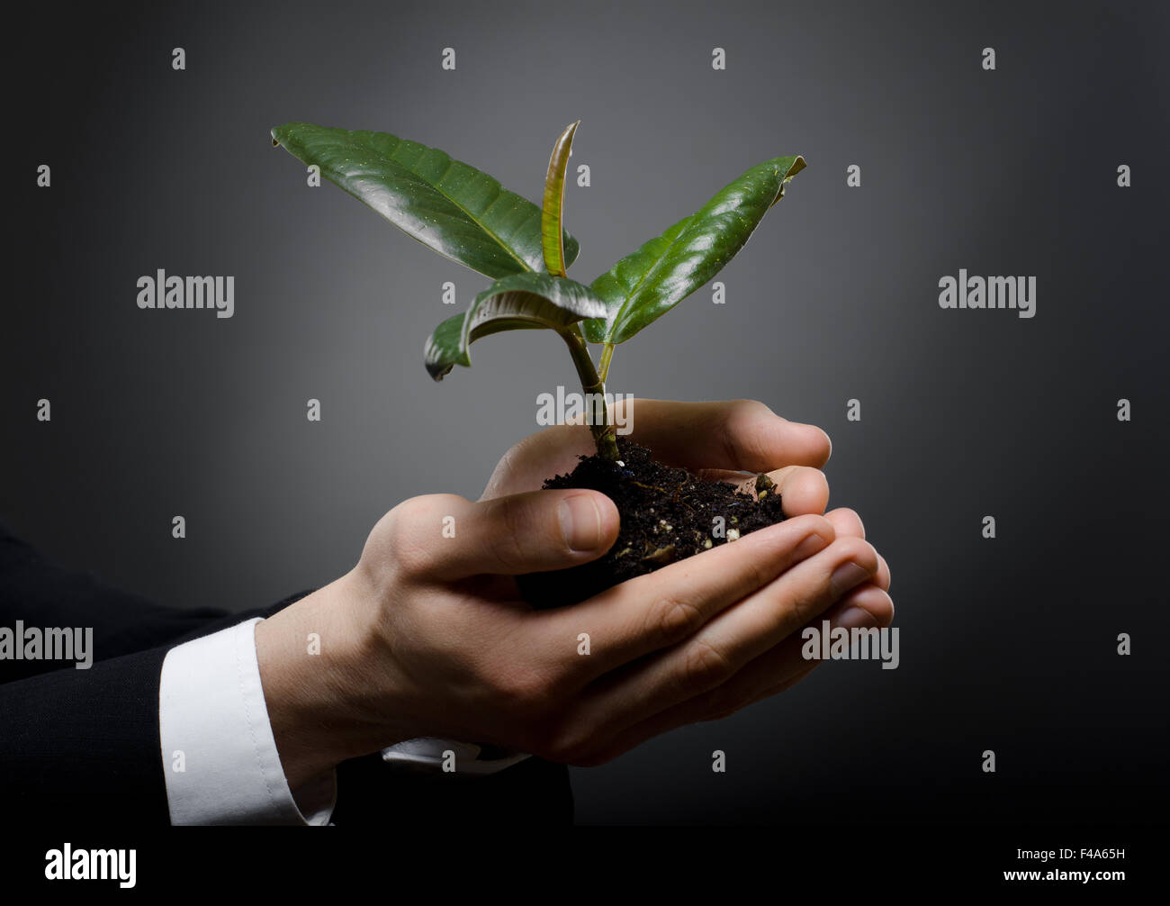 Hands rise up hi-res stock photography and images - Alamy