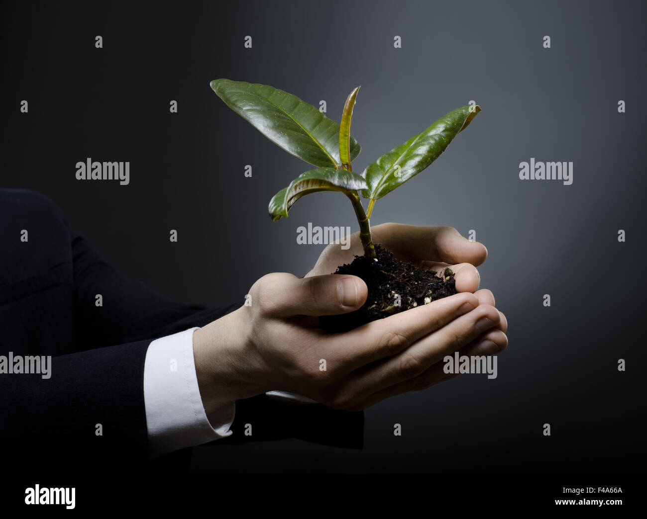 Sprout man hi-res stock photography and images - Alamy