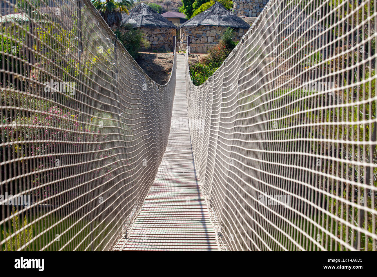 Forest rope bridge hike hi-res stock photography and images - Alamy