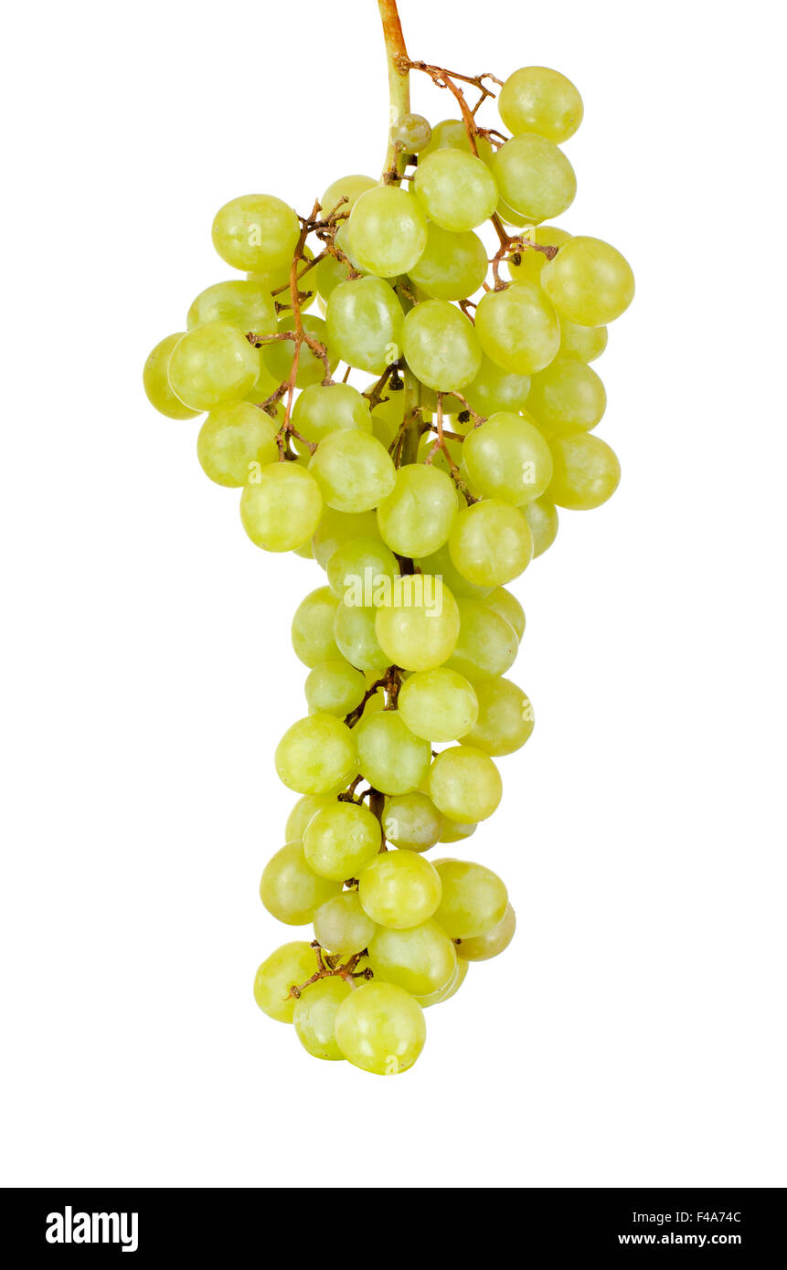 Green grapes image hi-res stock photography and images - Alamy