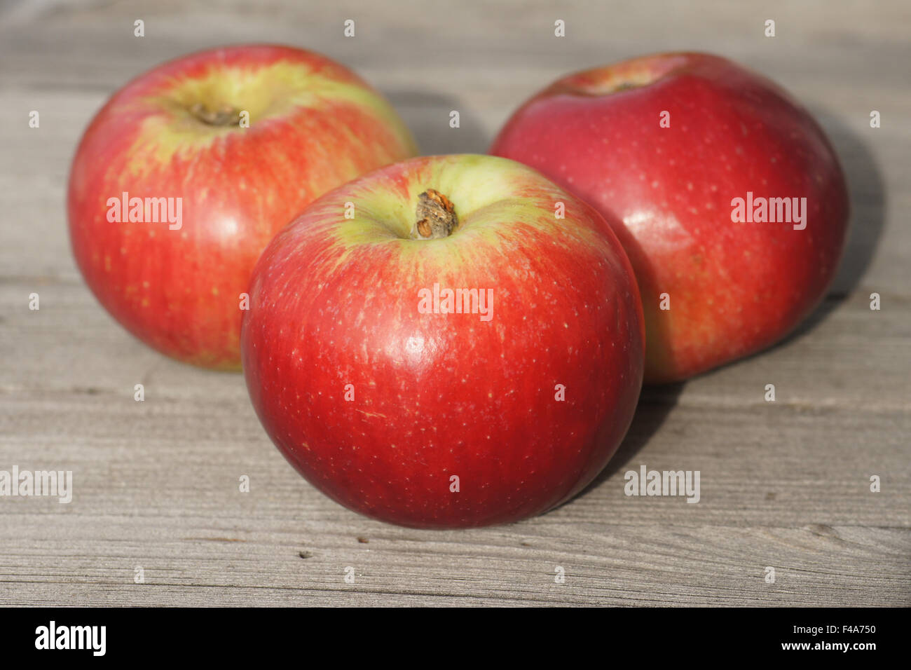 Akane hi-res stock photography and images - Alamy