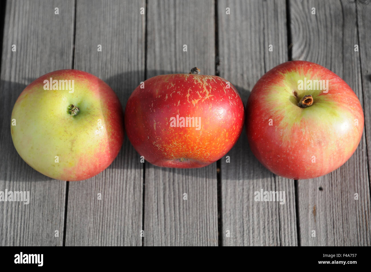 Akane hi-res stock photography and images - Alamy