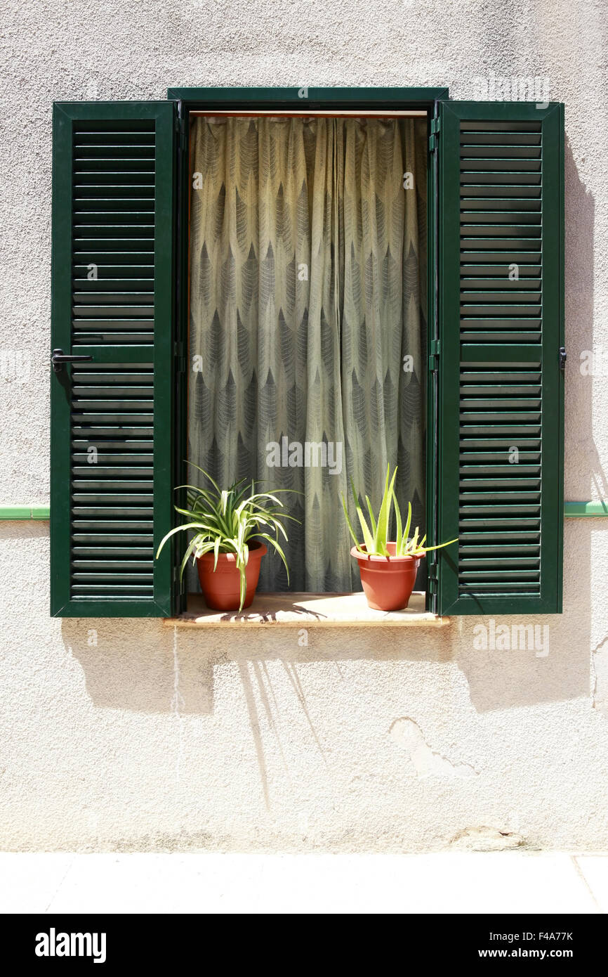 Wooden green window Stock Photo - Alamy