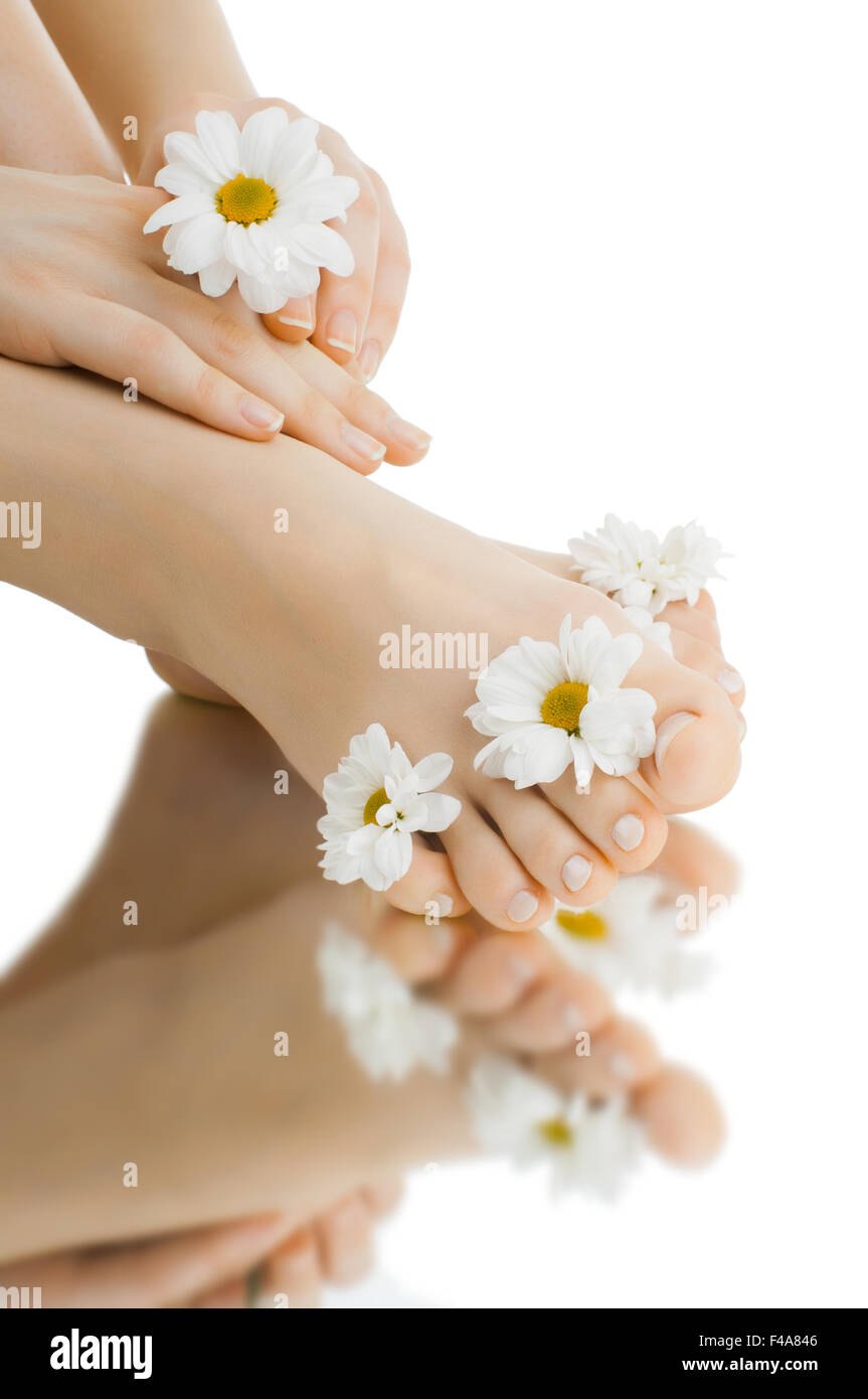 pretty female legs Stock Photo - Alamy