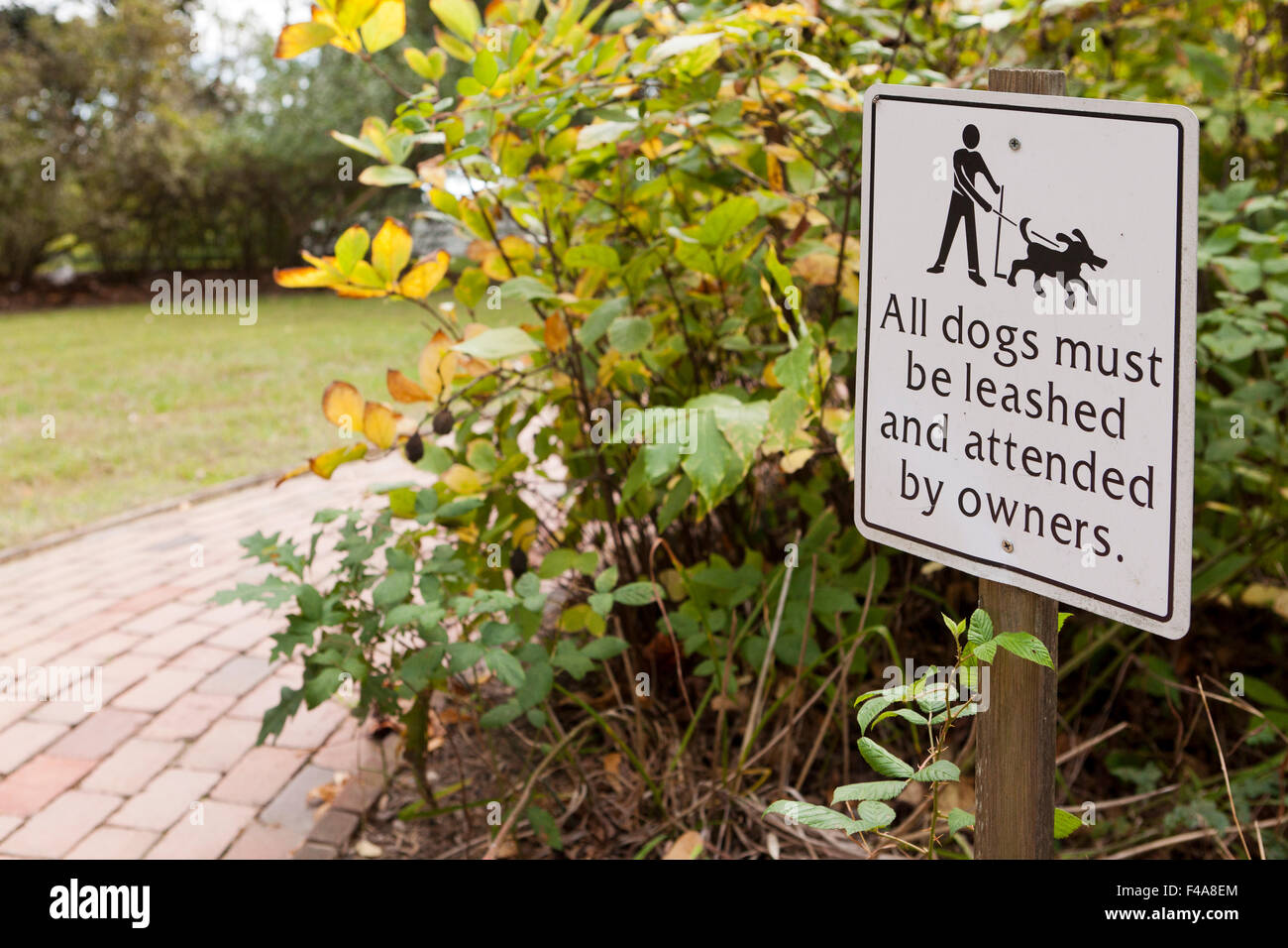 Dogs on a leash sign hi-res stock photography and images - Alamy