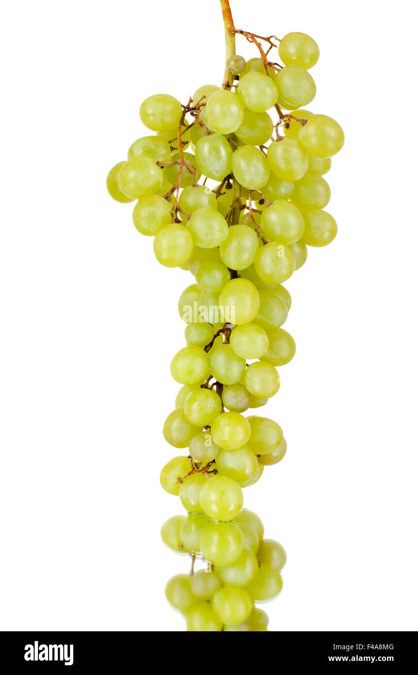 Beauty of grapes hi-res stock photography and images - Alamy