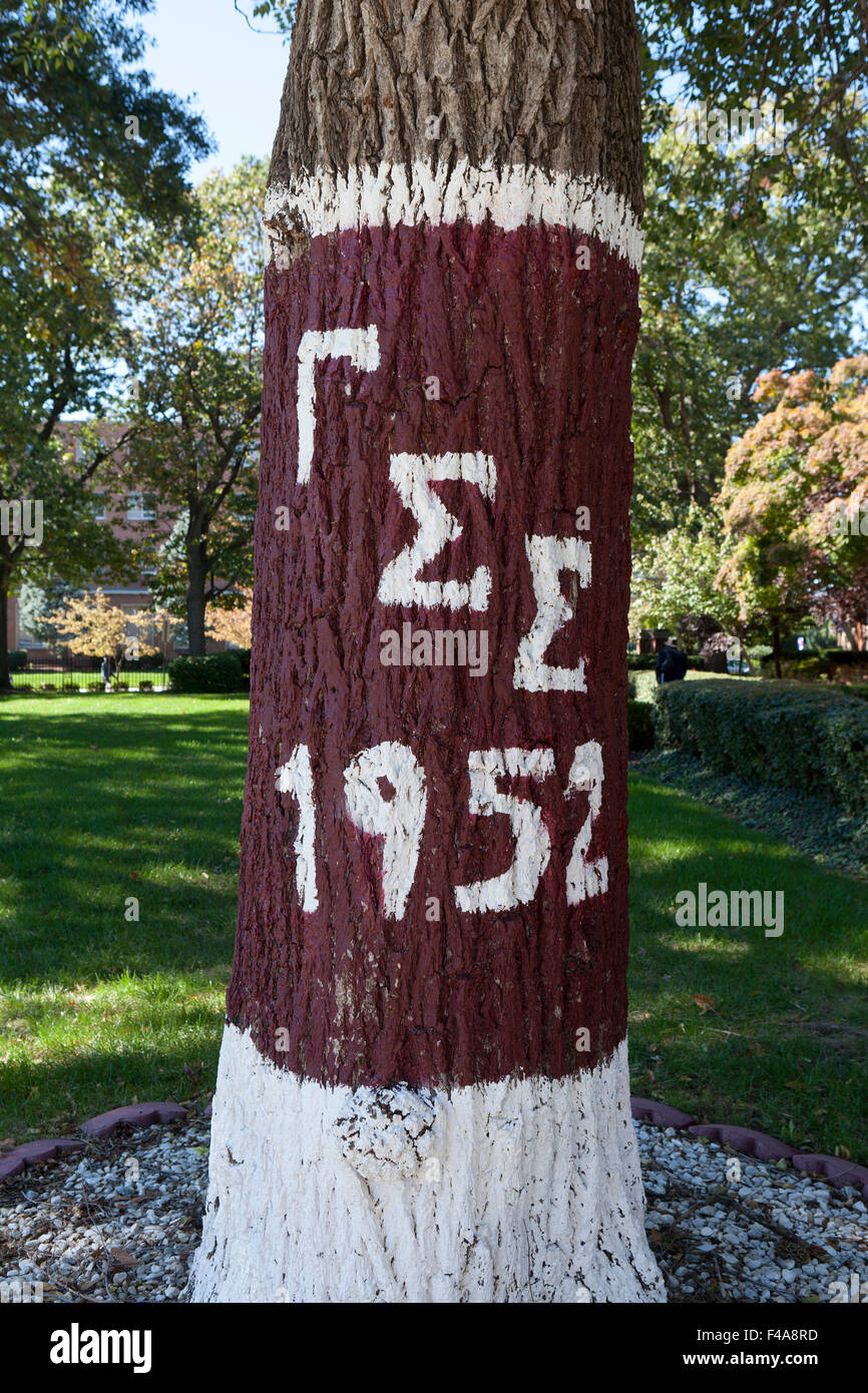 Gamma Sigma Sigma sorority of Howard University - Washington, DC USA ...