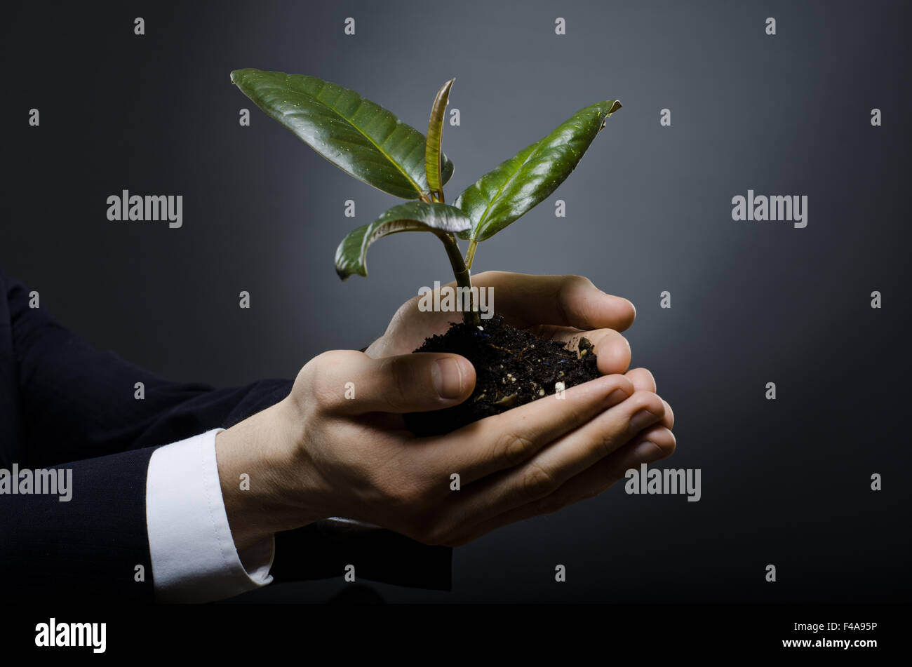 Solicitously hi-res stock photography and images - Alamy