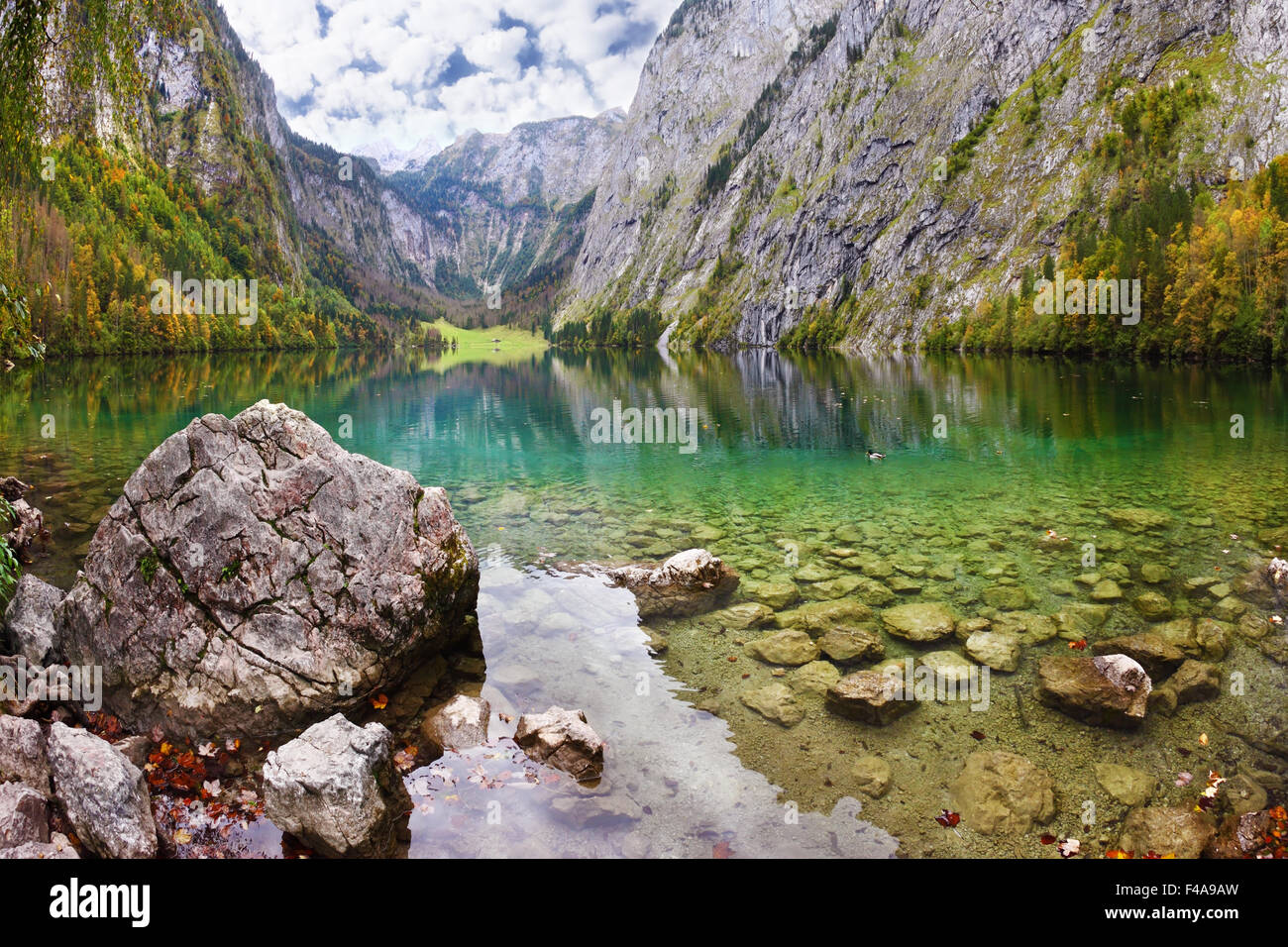 The emerald surface of water Stock Photo - Alamy