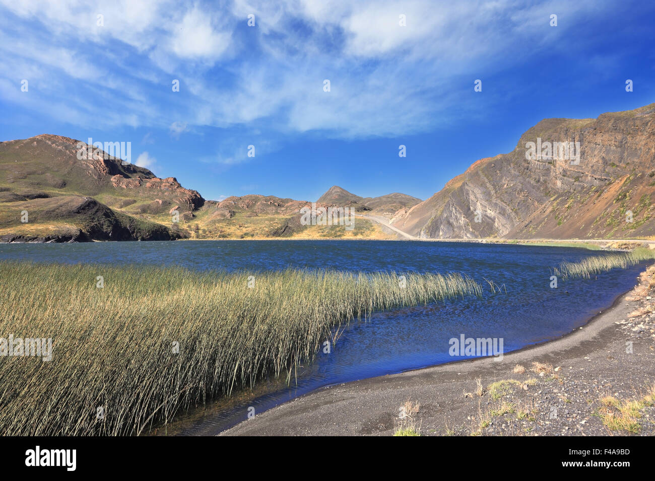 High grass hi-res stock photography and images - Alamy