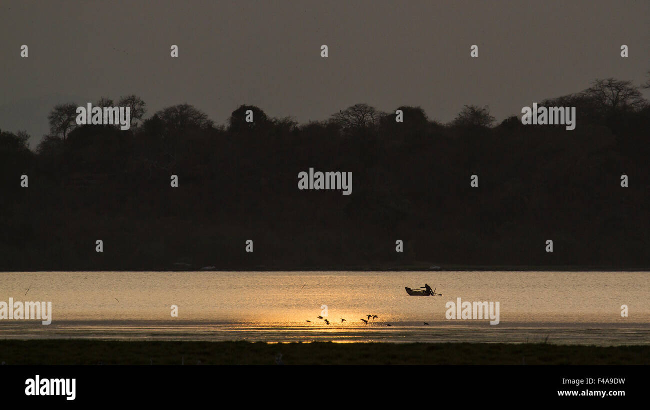 Estuary landscape in Batticaloa, Sri Lanka Stock Photo - Alamy