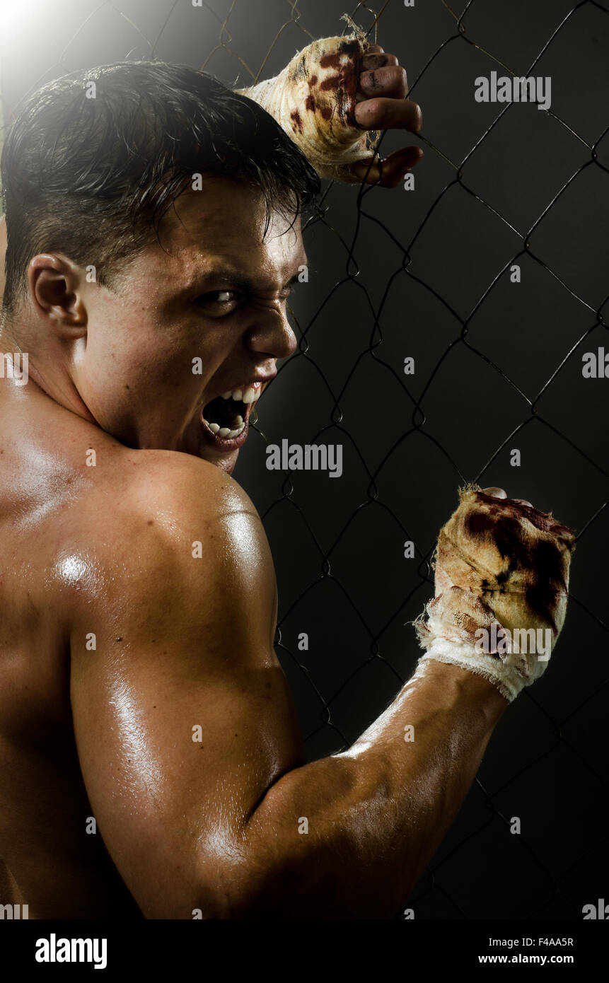 Strong and redoubtable hi-res stock photography and images - Alamy