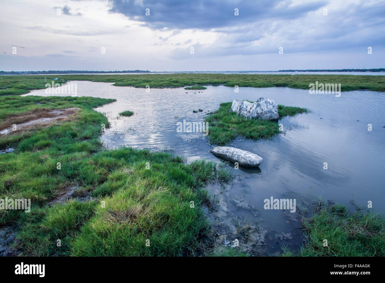 Swamp landscape in Arugam bay lagoon, Sri Lanka Stock Photo - Alamy