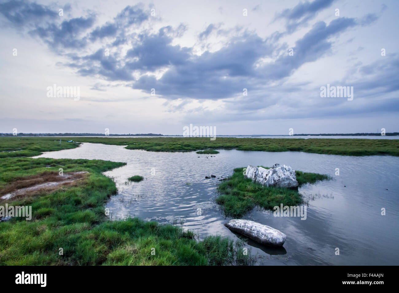 Swamp landscape in Arugam bay lagoon, Sri Lanka Stock Photo - Alamy