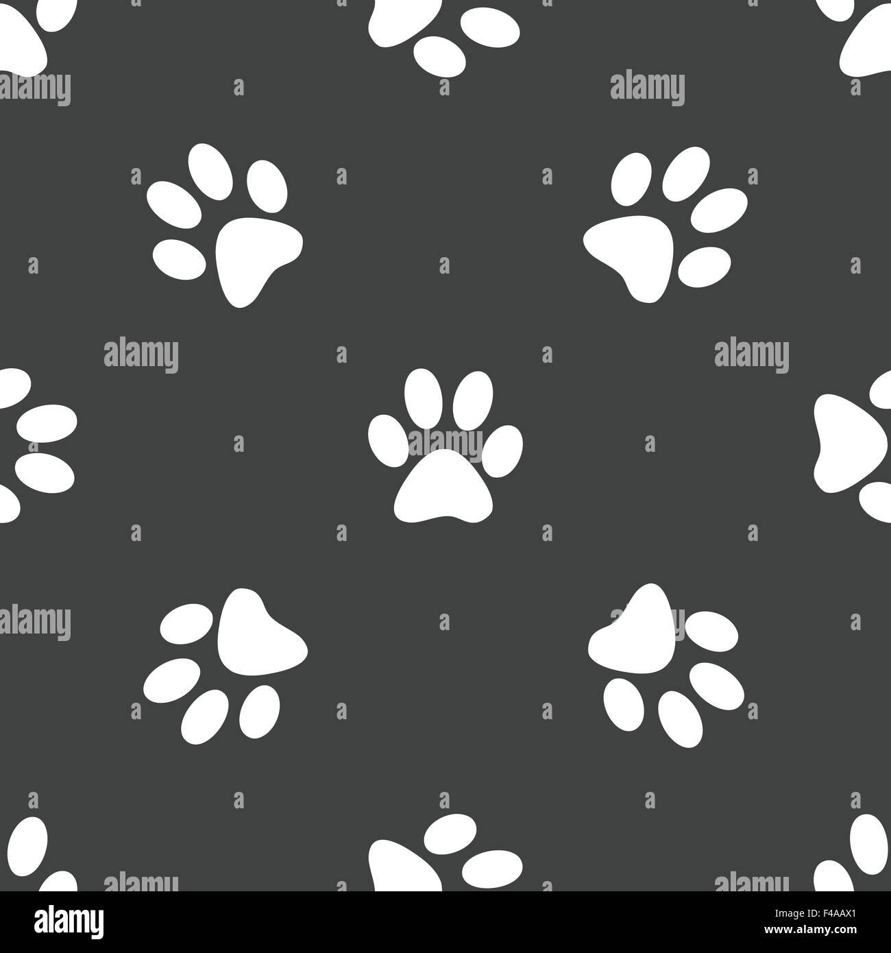 Paw print pad hi-res stock photography and images - Alamy
