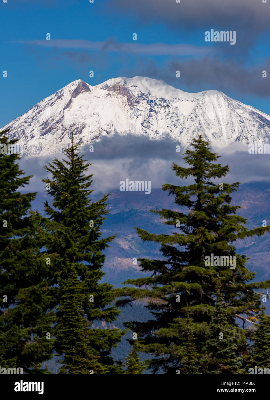 GIFFORD PINCHOT NATIONAL FOREST, WASHINGTON, USA - Mount Adams ...