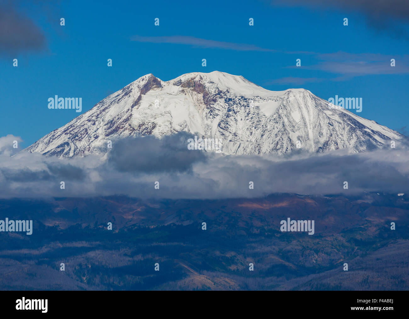 GIFFORD PINCHOT NATIONAL FOREST, WASHINGTON, USA - Mount Adams ...