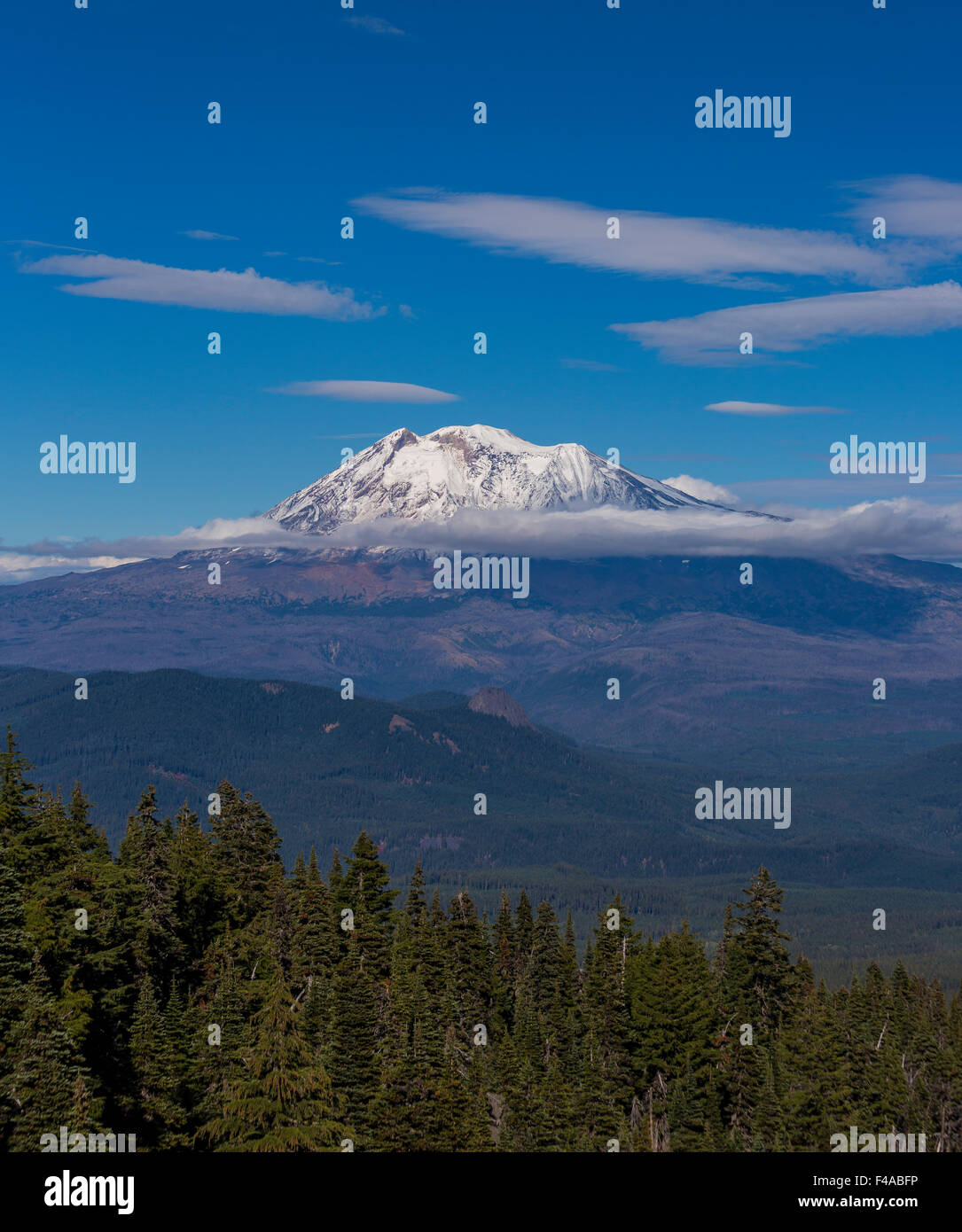 GIFFORD PINCHOT NATIONAL FOREST, WASHINGTON, USA - Mount Adams ...