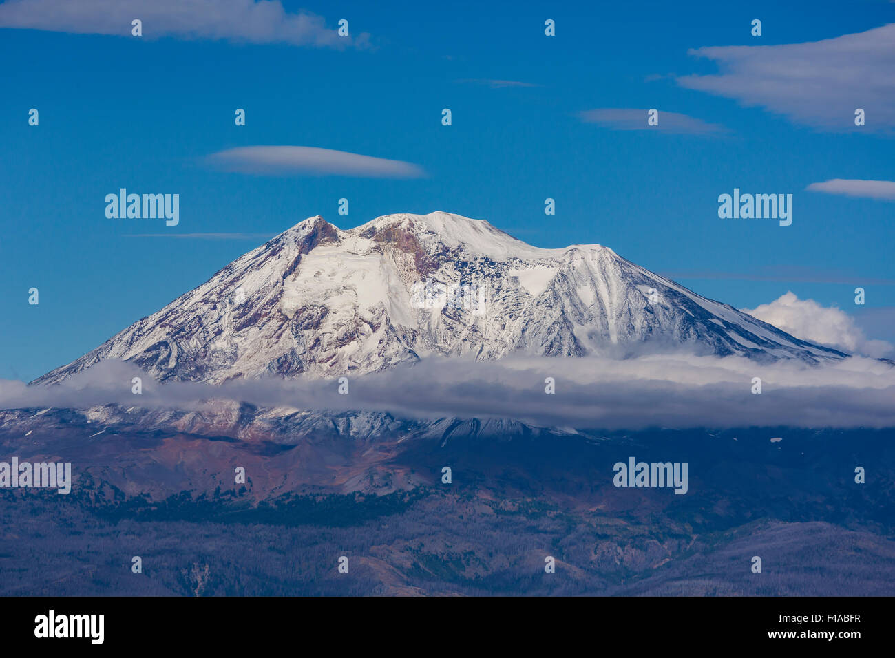 GIFFORD PINCHOT NATIONAL FOREST, WASHINGTON, USA - Mount Adams ...