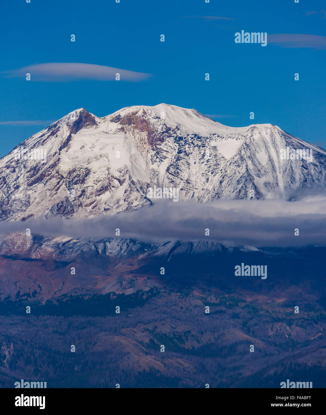 Mount Adams Washington Elevation